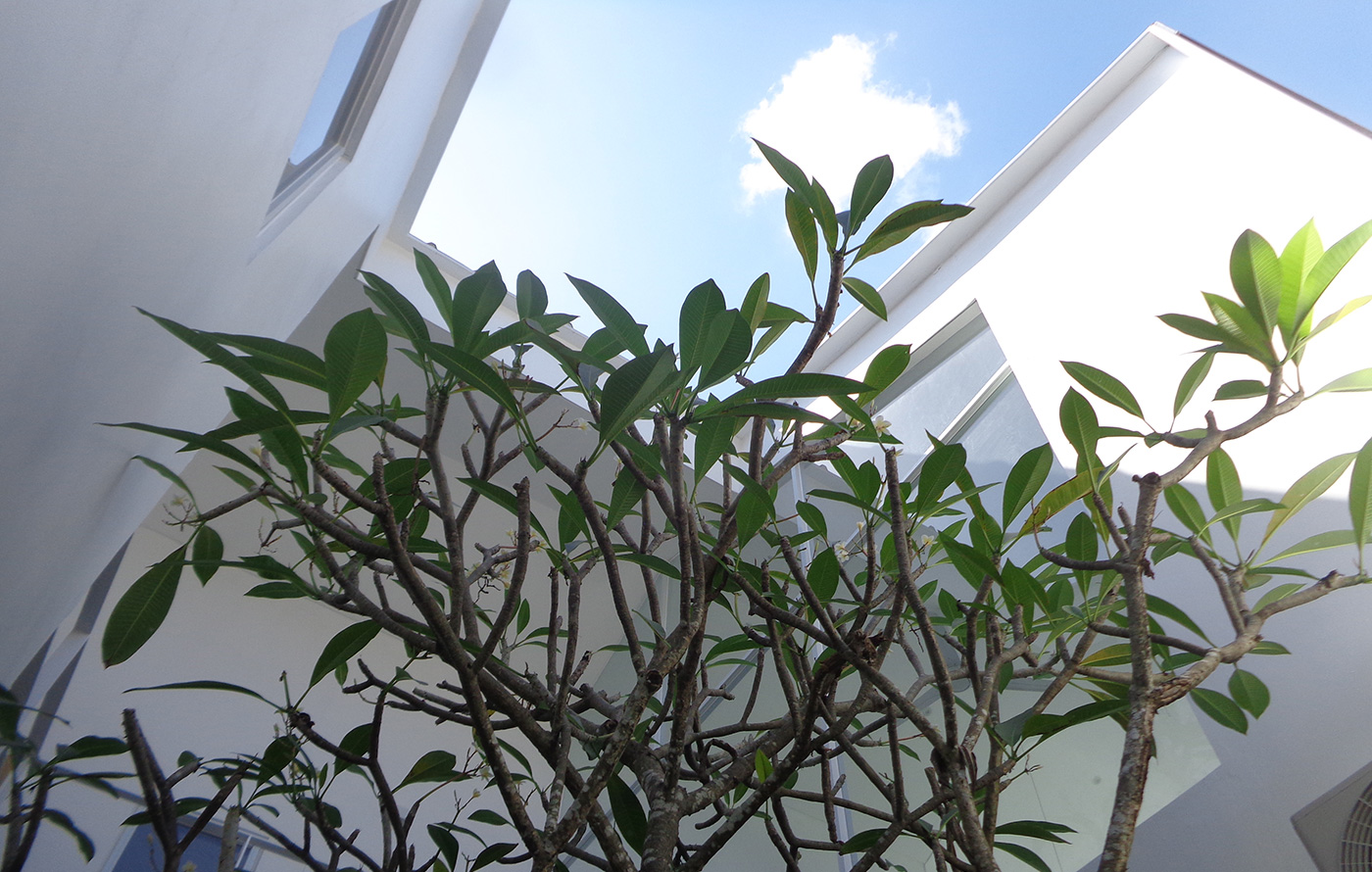 Triaco | Architect